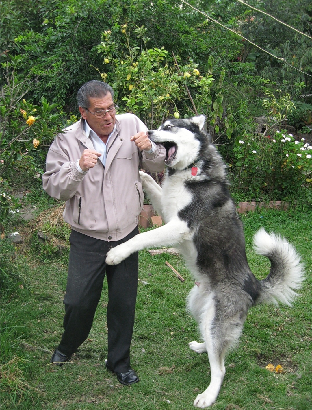 EFRAIN FEDERICO CARBACA CABRERA – Camposanto Santa Ana